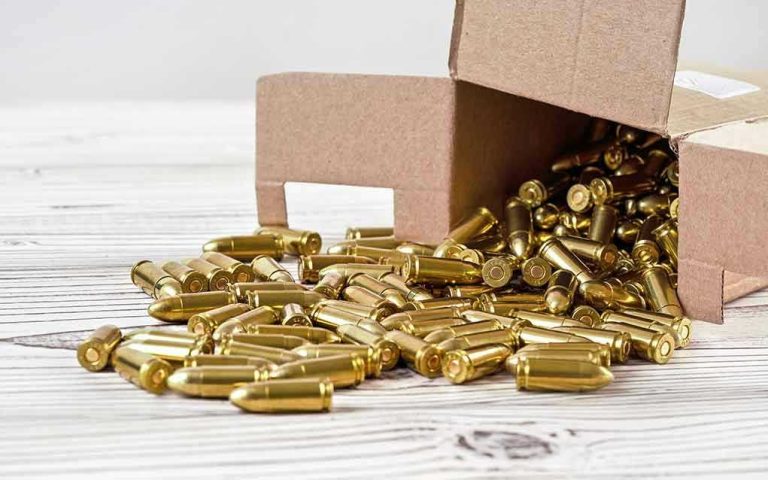 ANTI-ICE Bullets KILL — FBI Reveals CHILLING Detail | Watch Dog Report